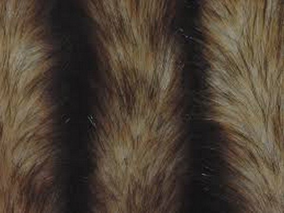 Faux Fur - An alternative to the expense and rarity of real fur - Blue ...